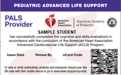 PALS Online & Skills I American Heart Association I Class I Los Angeles